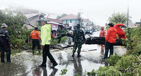 Hujan Disertai Angin Kencang, Pohon hingga Tiang Listrik Roboh Hambat ...